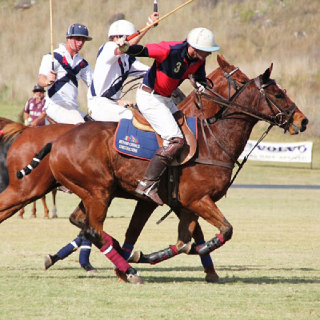 millamolong polo - AUSTRALIA